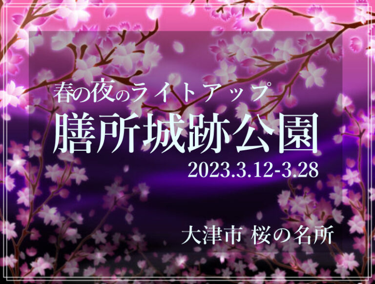 【大津市 イベント】膳所城跡公園のライトアップ！夜桜や城壁など幻想的な春の夜を。 - しがそび -shigasobi-