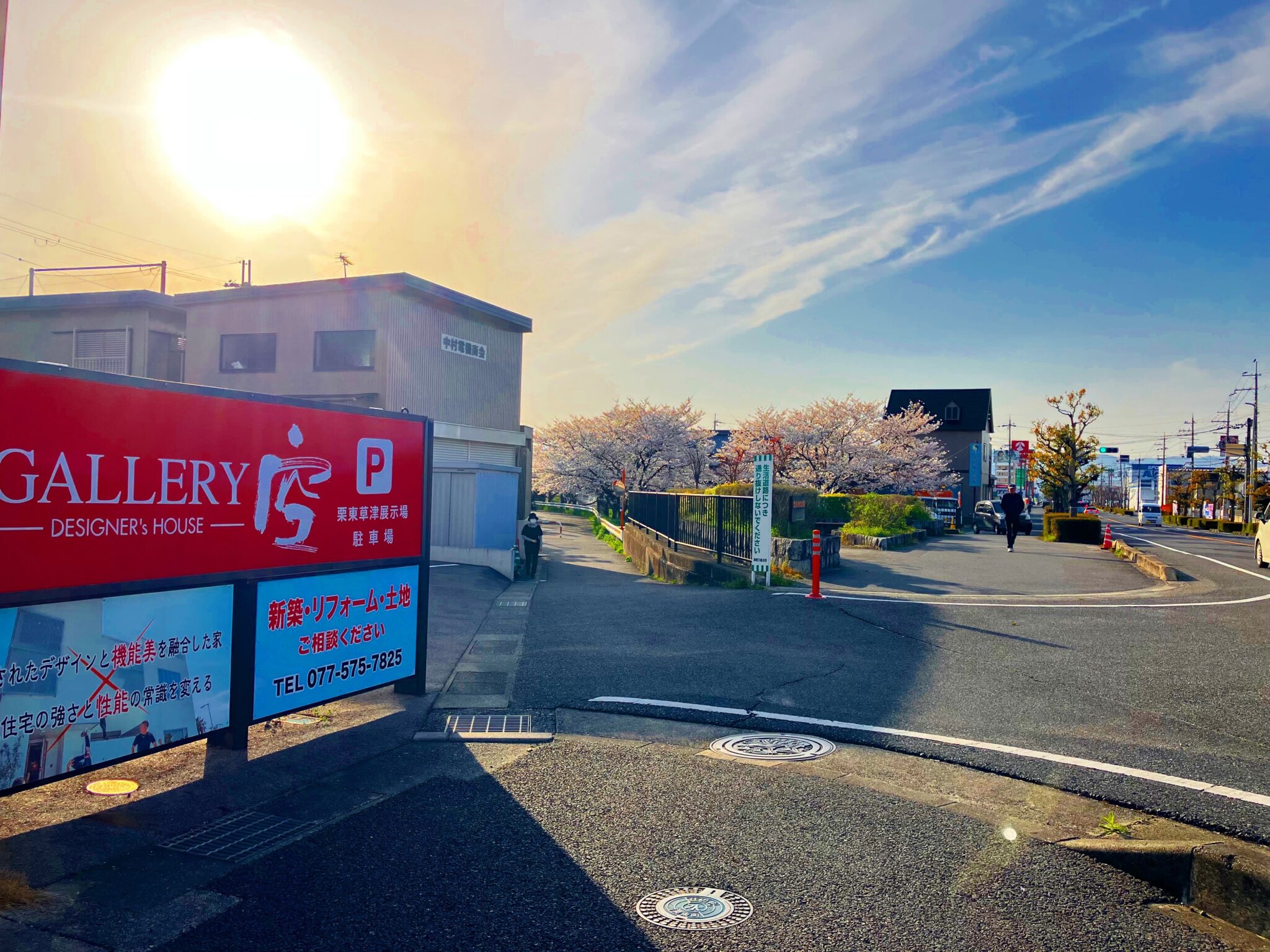 【栗東市 桜】霊仙寺橋公園の桜並木とは⁈ 滋賀の穴場スポット - しがそび -shigasobi-