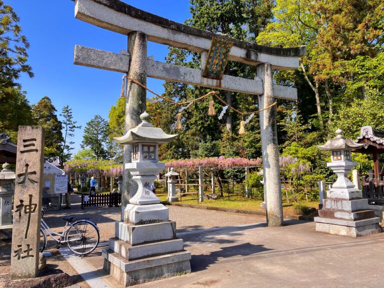 【草津市 観光】三大神社とは？砂擦りの藤が見頃を迎えています！さんだいじんじゃ・志那町 - しがそび -shigasobi-
