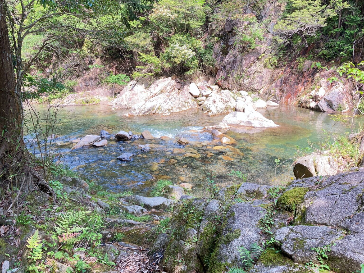 【大津市 水遊び】富川 29 犬の鼻先ジャンプ・信楽川の川遊びスポット - しがそび -shigasobi-