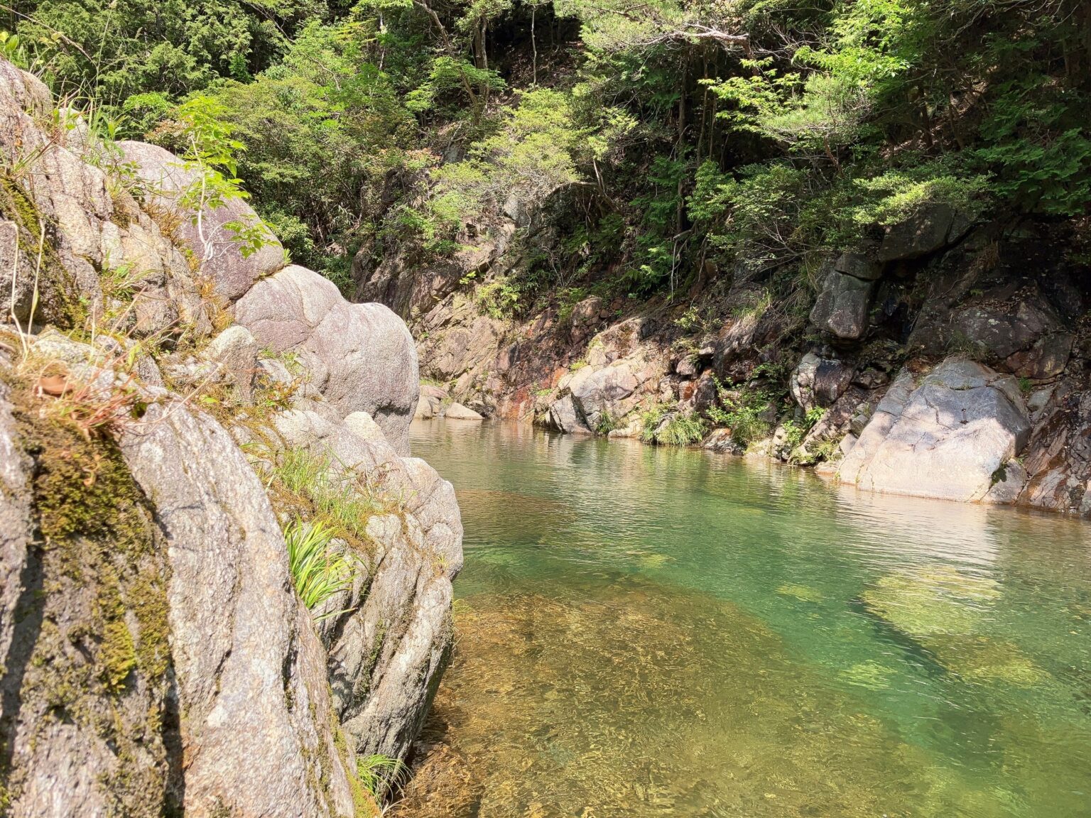 【大津市 水遊び】富川 29 犬の鼻先ジャンプ・信楽川の川遊びスポット - しがそび -shigasobi-