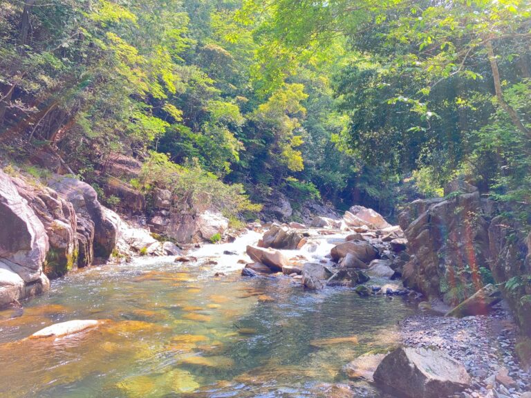 【大津市 水遊び】富川 29 犬の鼻先ジャンプ・信楽川の川遊びスポット - しがそび -shigasobi-