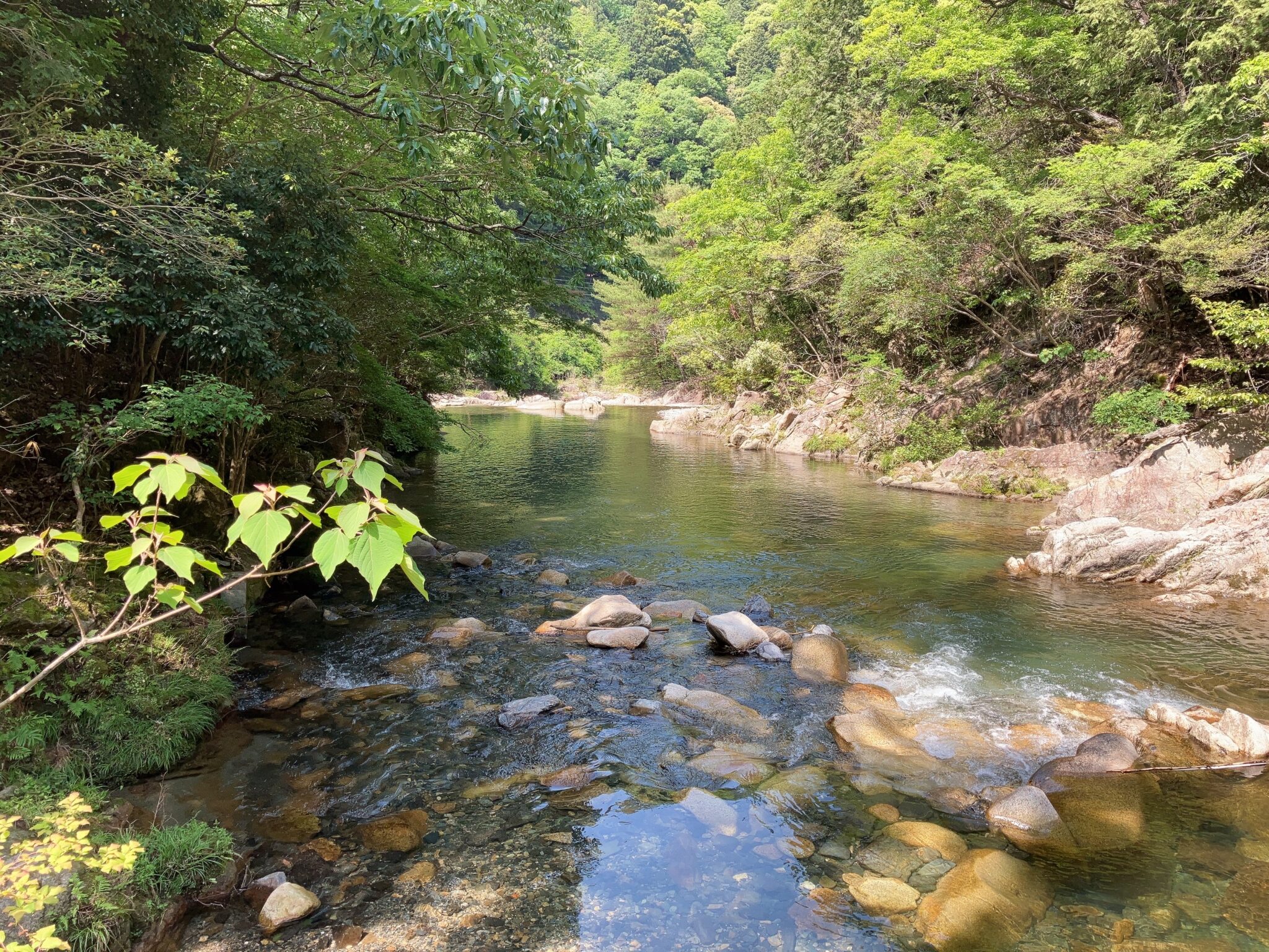 【大津市 水遊び】富川 29 犬の鼻先ジャンプ・信楽川の川遊びスポット - しがそび -shigasobi-