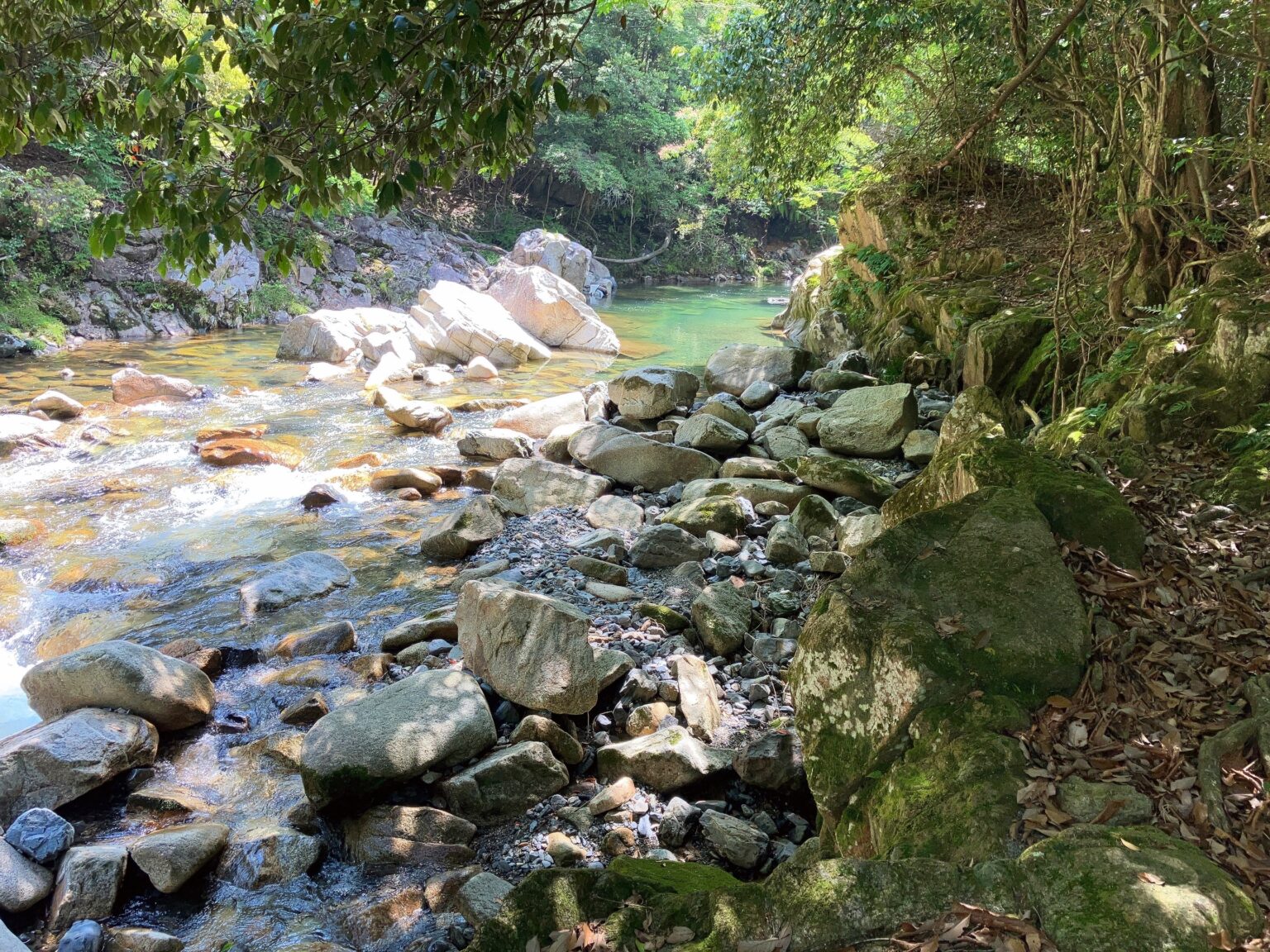 【大津市 水遊び】富川 30 休憩エリア・信楽川の川遊びスポット - しがそび -shigasobi-