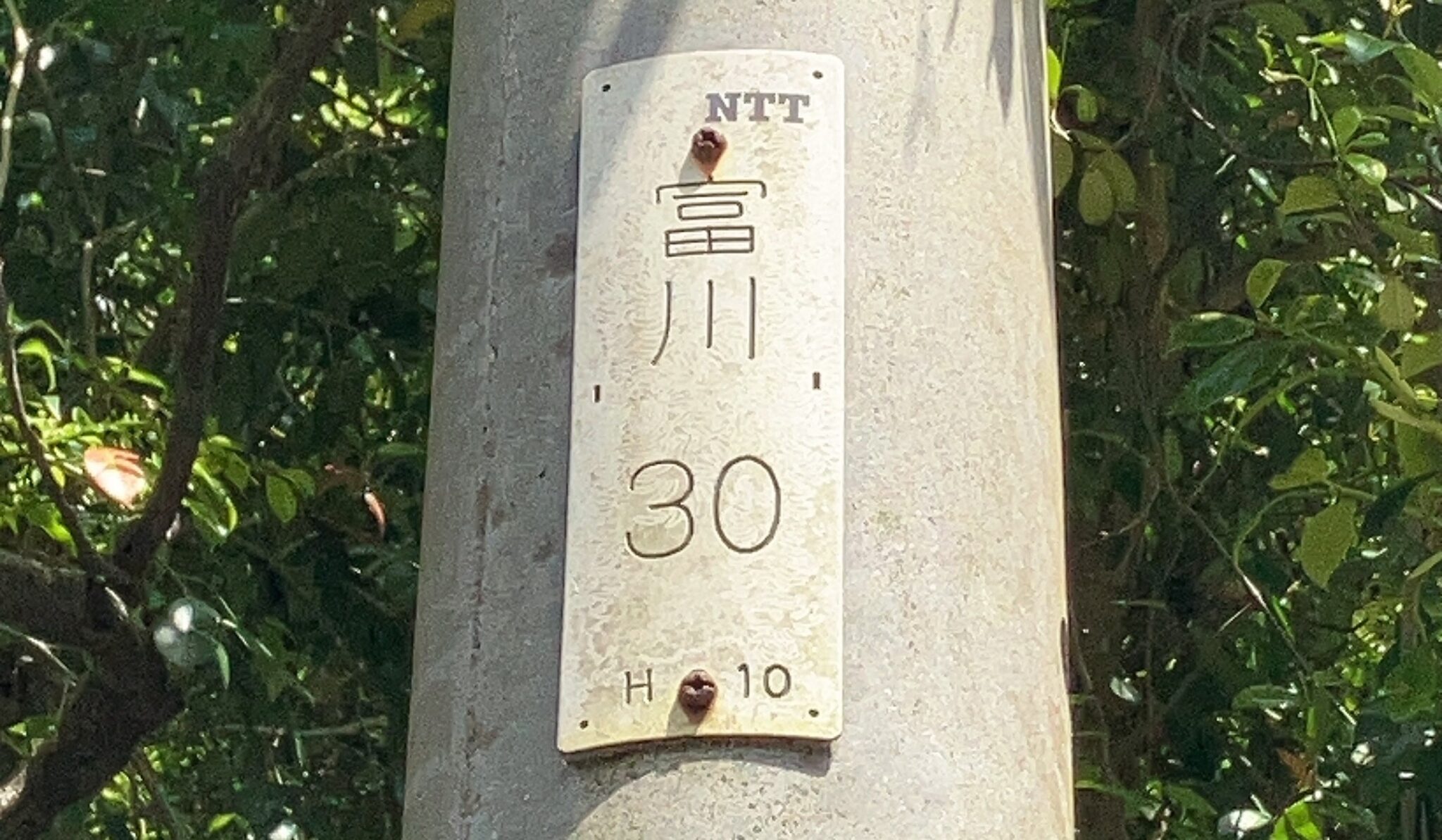 【大津市 水遊び】富川 30 休憩エリア・信楽川の川遊びスポット - しがそび -shigasobi-