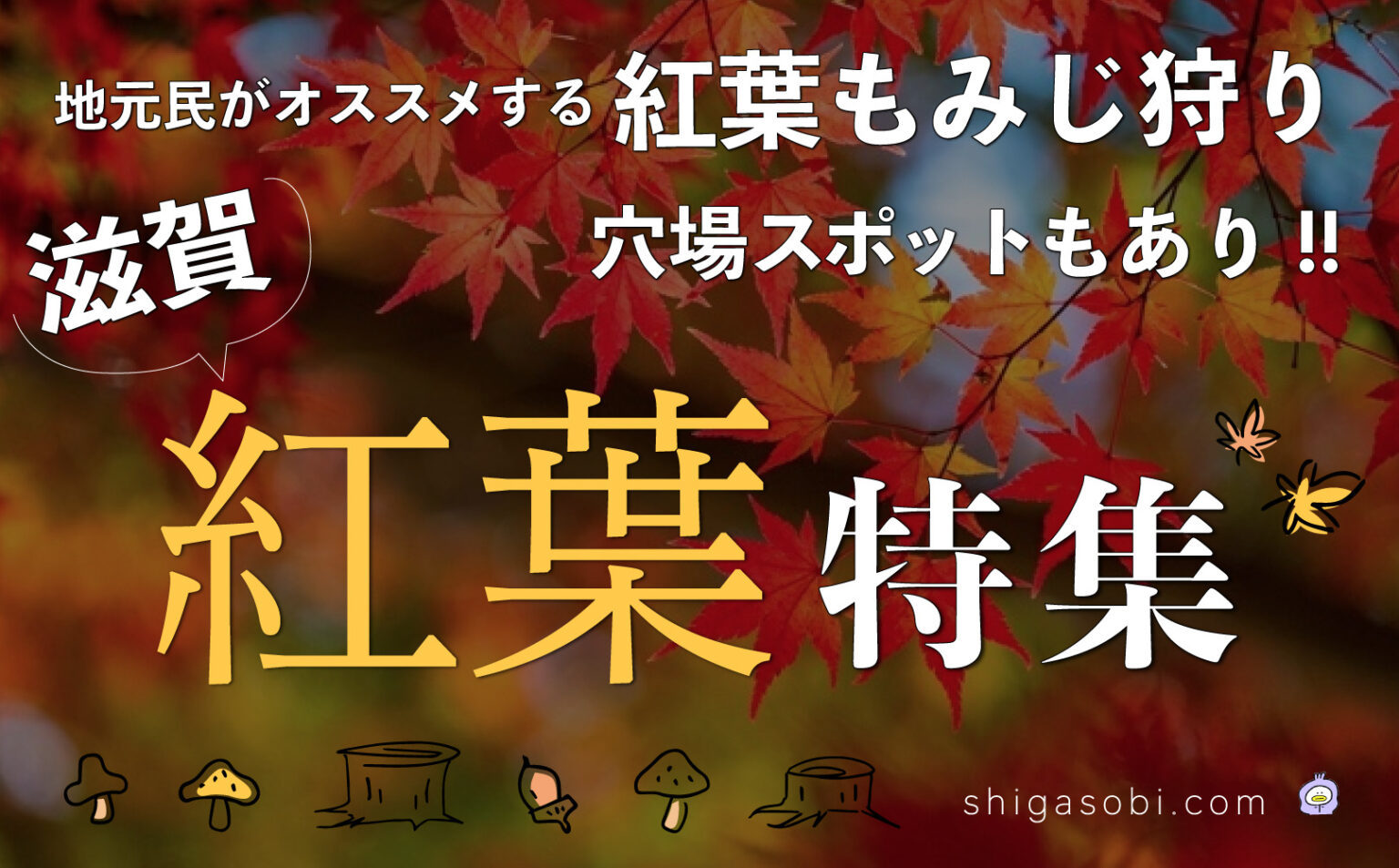 【紅葉特集】2023年版 滋賀の紅葉絶景スポット30選！一度は訪れたい人気の名所から穴場まで♪ - しがそび -shigasobi-